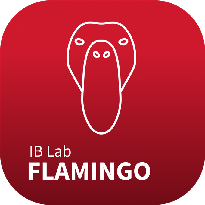 Opportunistic Detection of Vertebral Fracture – IB Lab FLAMINGO